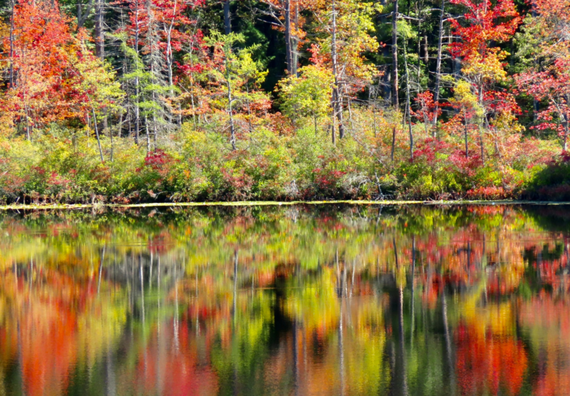 Ultimate Fall Bucket List for the Nashville, TN area ⋆ One Top Knot Mama