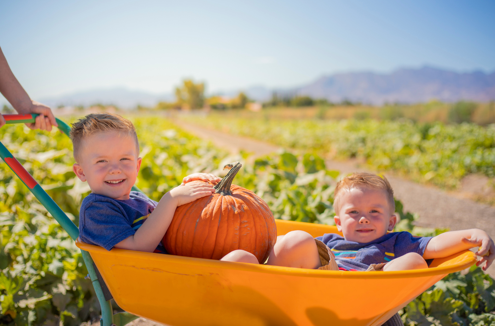 Ultimate Fall Bucket List for the Nashville, TN area ⋆ One Top Knot Mama