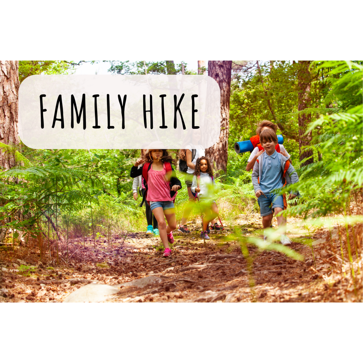 Ultimate Summer Bucket List: 50 Fun Ideas for Families to Help Make ...