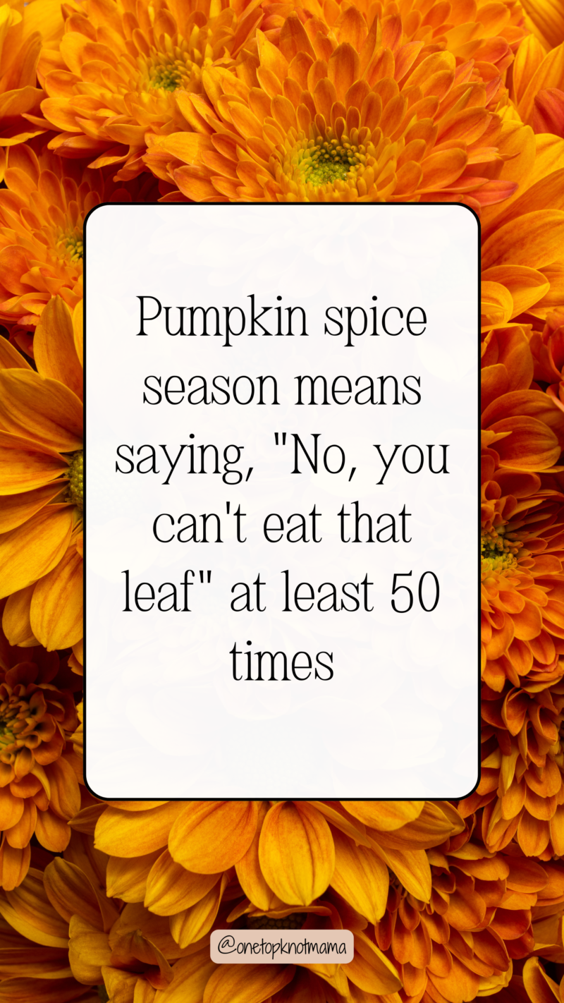 Inspiring Autumn Quotes Moms will Love ⋆ One Top Knot Mama